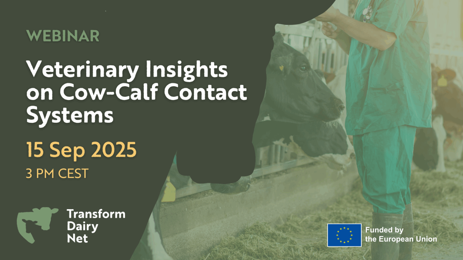 TransformDairyNet: Veterinary Insights on Cow-Calf Contact Systems ...